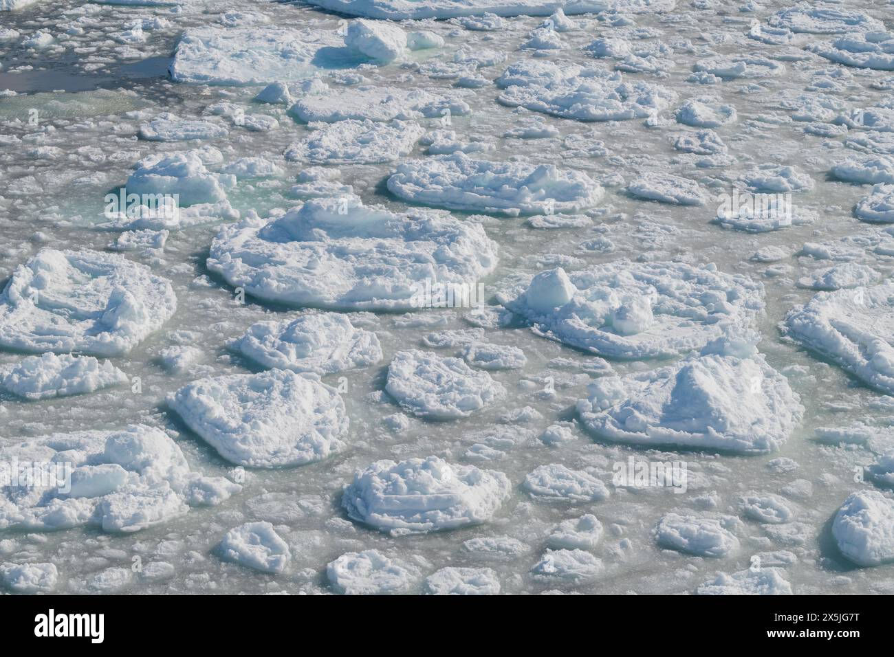 Pack ice and icebergs in Strait of Belle Isle, Newfoundland and ...