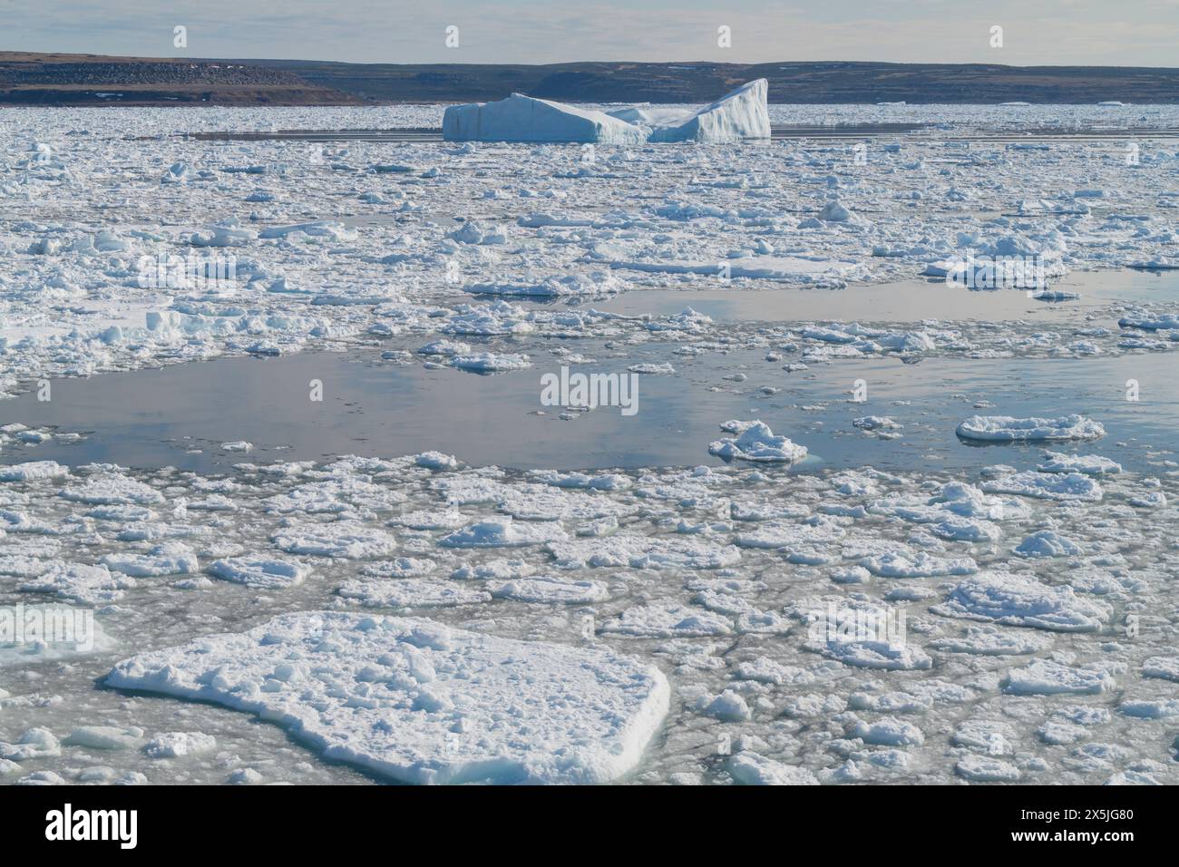 Pack ice and icebergs in Strait of Belle Isle, Newfoundland and ...
