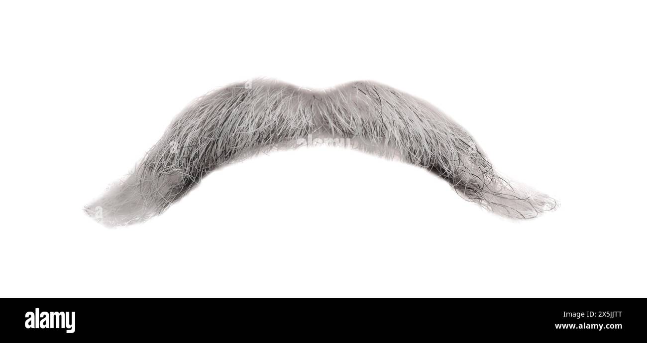 Stylish gray mustache isolated on white. Facial hair Stock Photo - Alamy