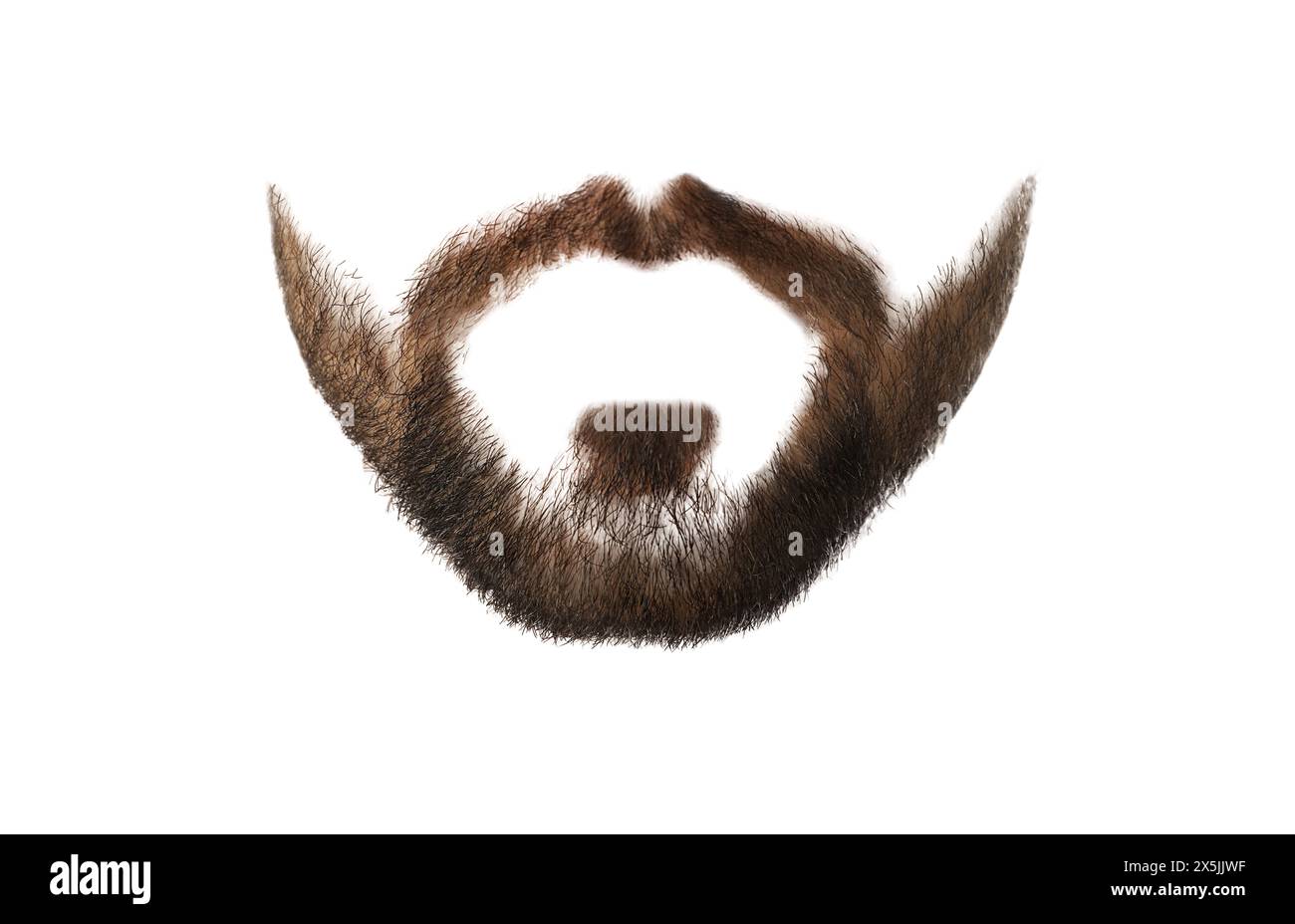 Stylish guy beard on Cut Out Stock Images & Pictures - Alamy