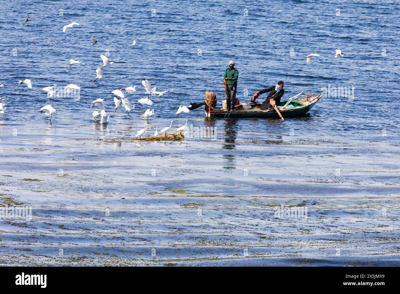 Egyptian fishermen in a small boat, hauling in fishing nets being ...