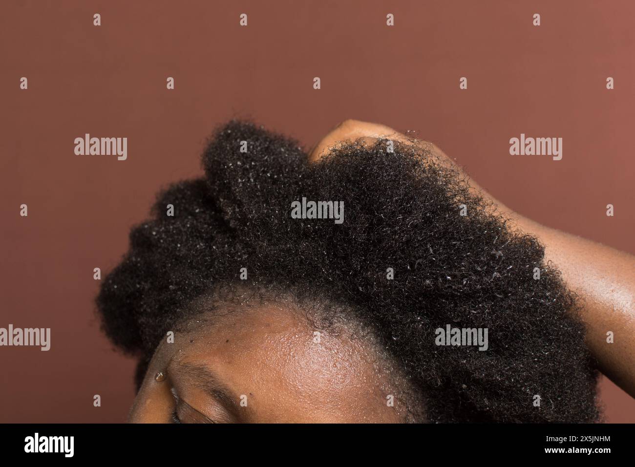 Black afro curly hair with shrinkage, Wet Type 4c hair being detangled ...