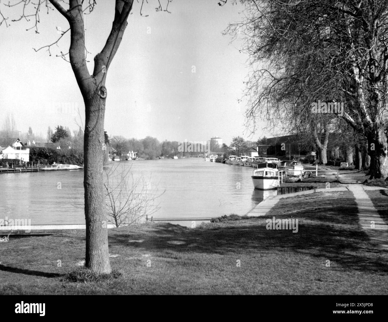 River Thames, Runnymede, Surrey - 1983 Stock Photo - Alamy