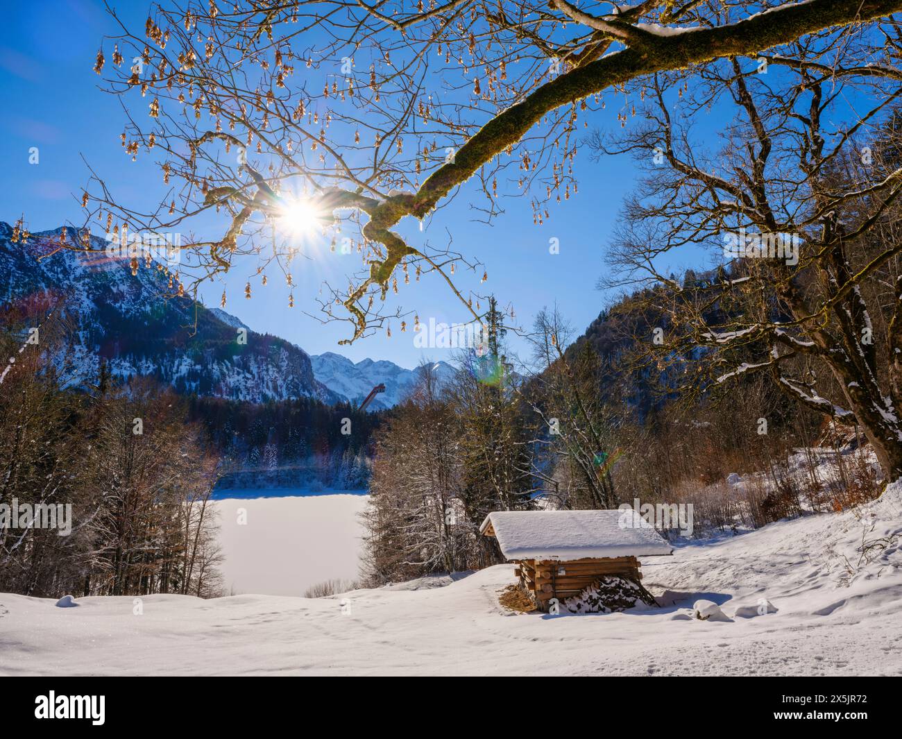 landscape at lake Freibergsee. The Allgau Alps near Oberstdorf during ...