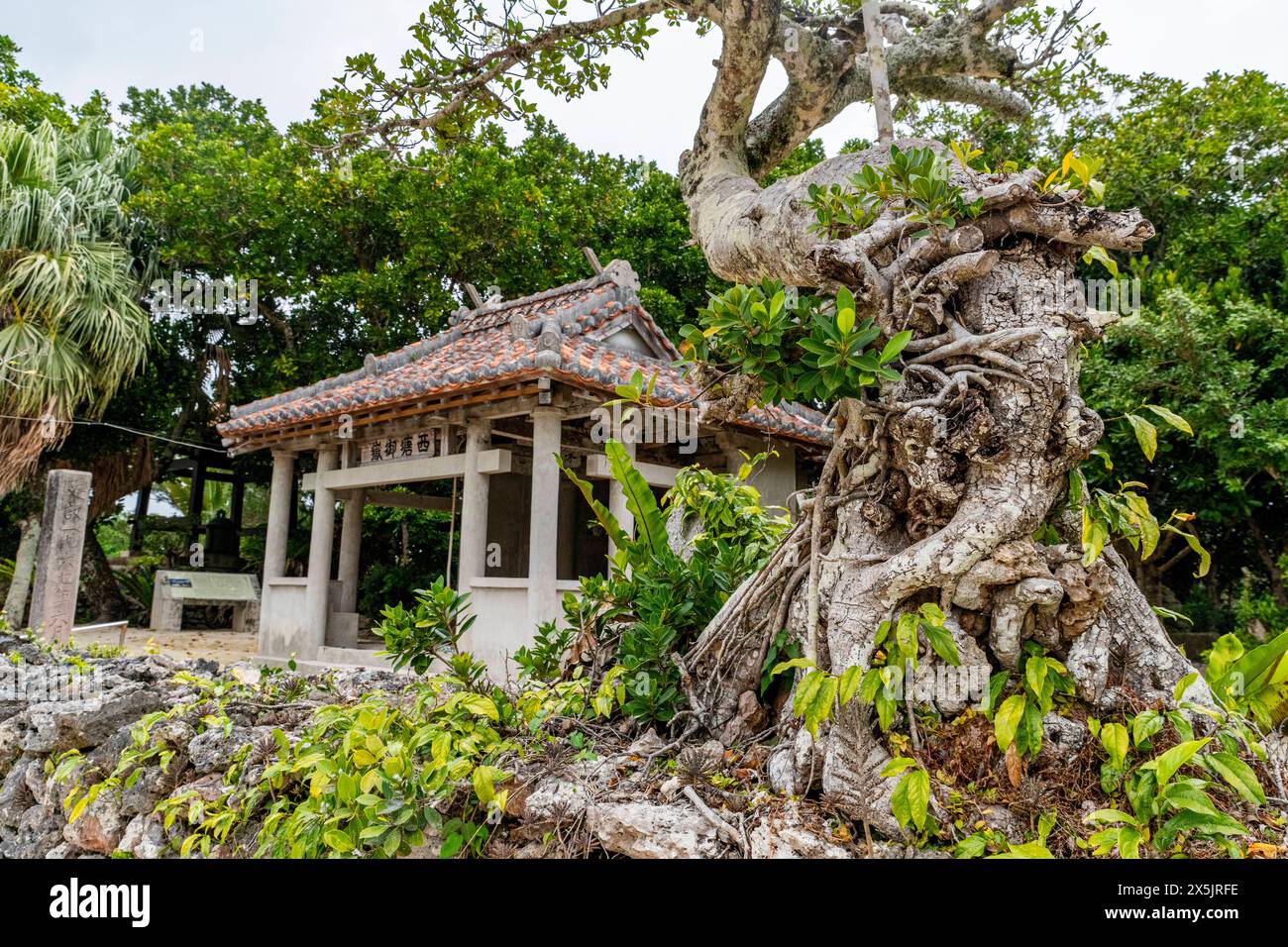 Little shrine, Taketomi Island National Park, Ishigaki, Yaeyama island ...