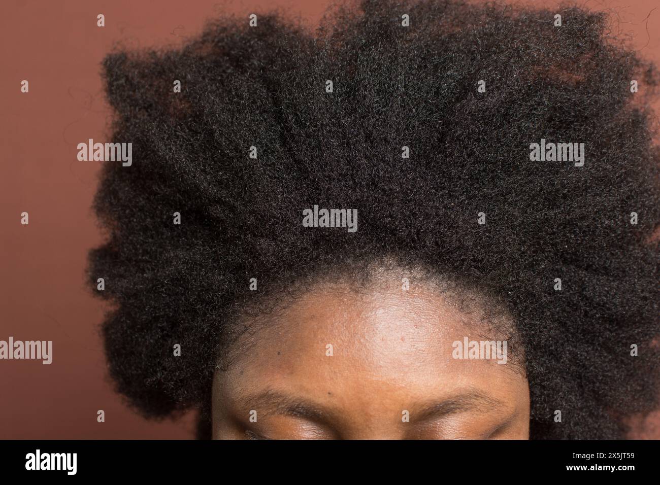 Black afro curly hair with shrinkage, Type 4c hair that is dry with a ...