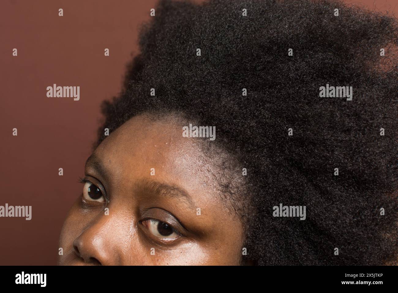 Black afro curly hair with shrinkage, Type 4c hair that is dry with a ...