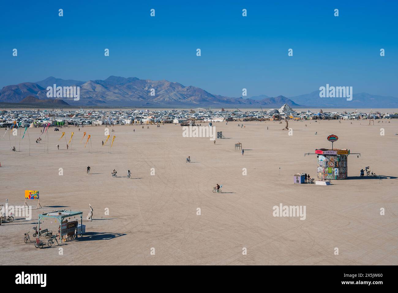 Lively presence hi-res stock photography and images - Alamy