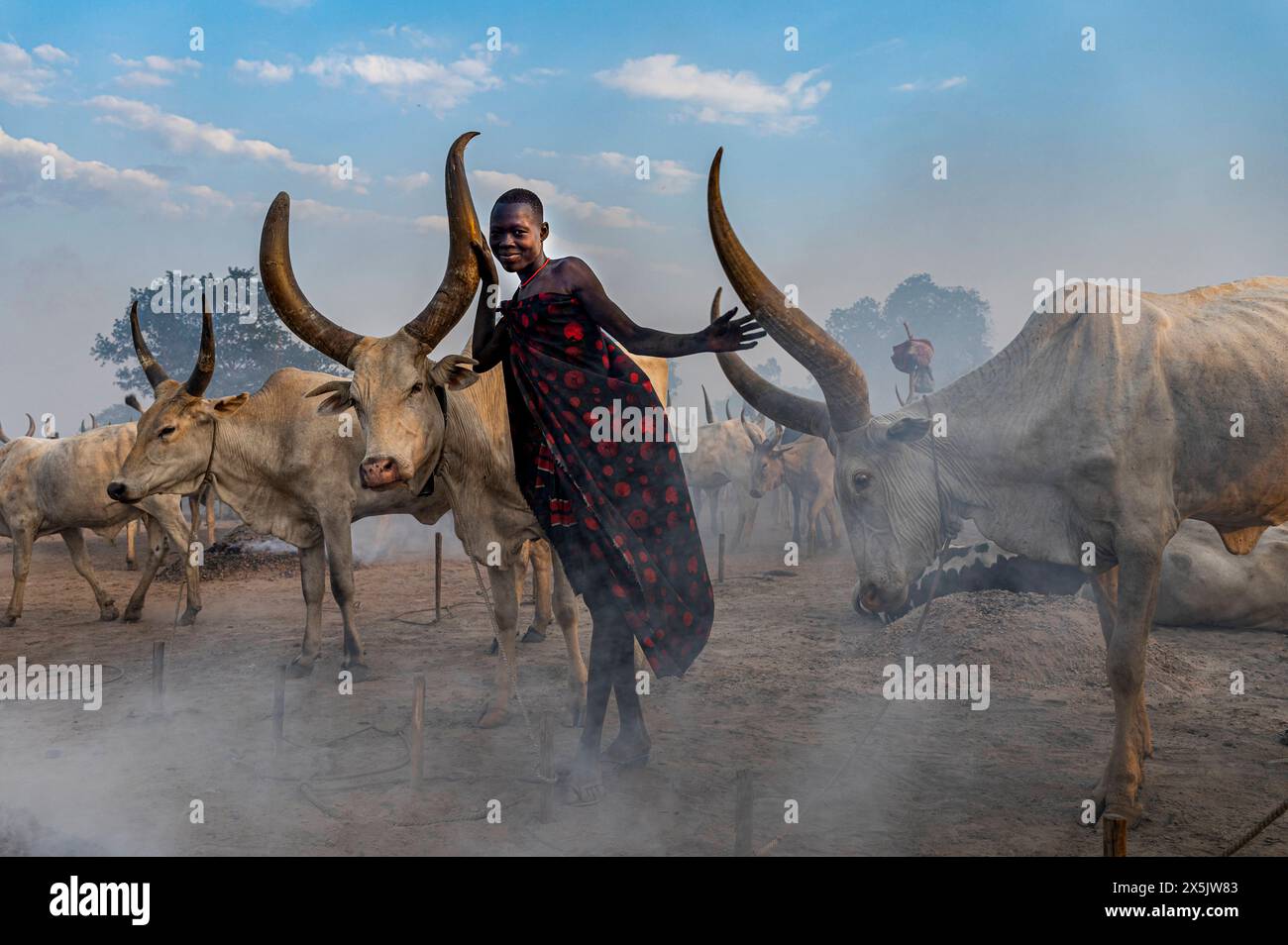 Young girl posing with cows, Mundari tribe, South Sudan, Africa ...