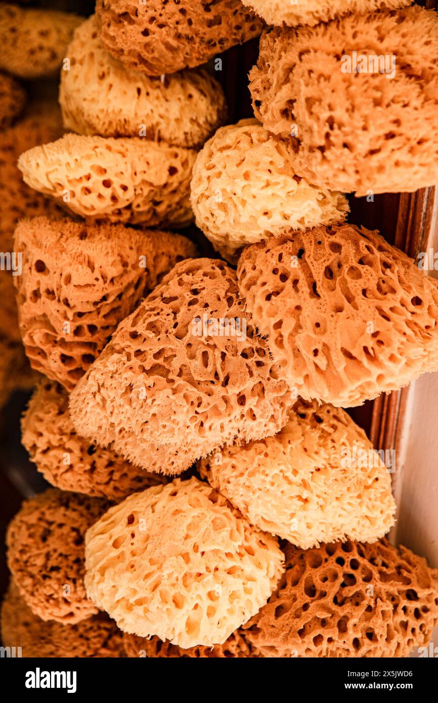 Greece. Dried, natural Greek sea sponges Stock Photo - Alamy