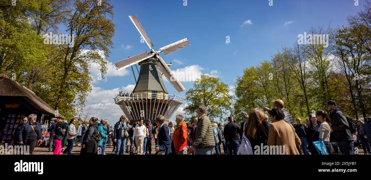 Dutch tourist tulip park attraction Keukenhof Stock Photo - Alamy