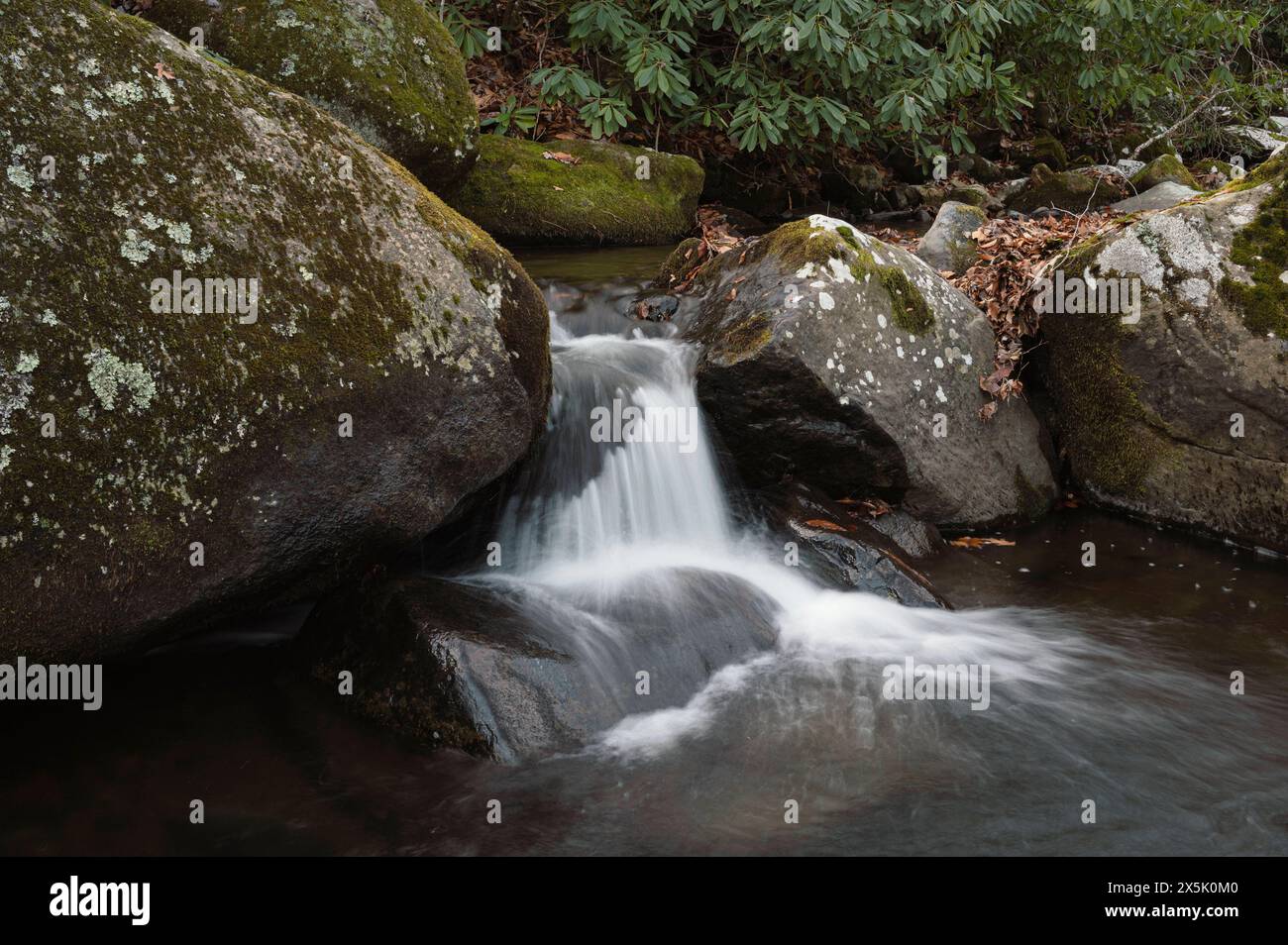 Roaring Creek waterfalls, Appalachian Trail, Blue Ridge Mountains ...