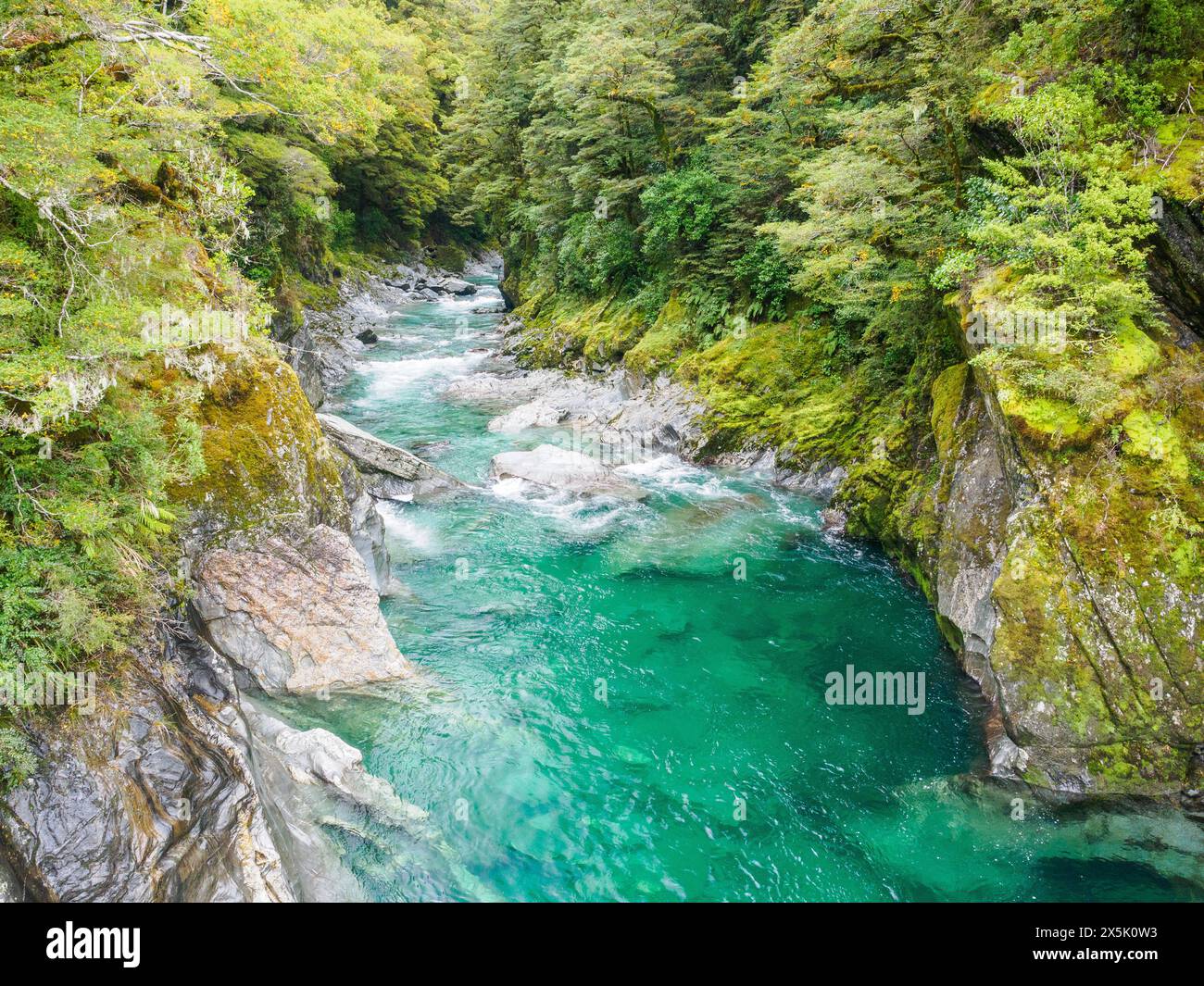 Blue River, West Coast, South Island, New Zealand, Pacific Copyright ...