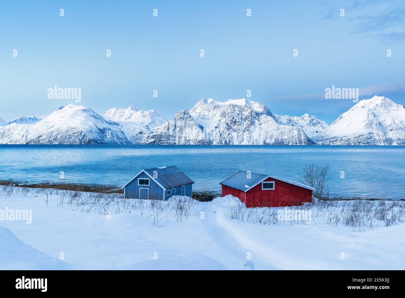 Two colorful rorbu standing on the shore of the fjord covered by deep ...