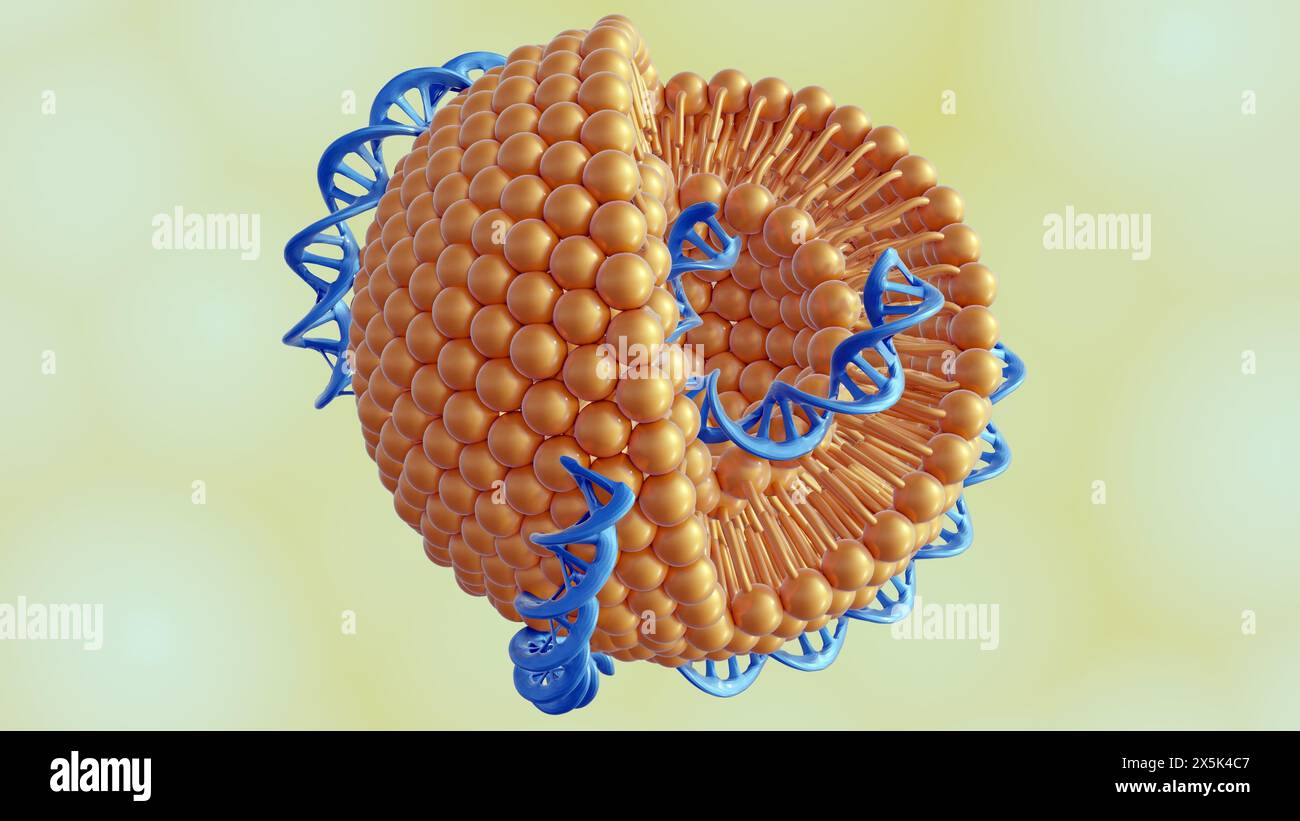 3d Rendering Of Dna Helixes Conjugated Liposomes As Dna Liposome