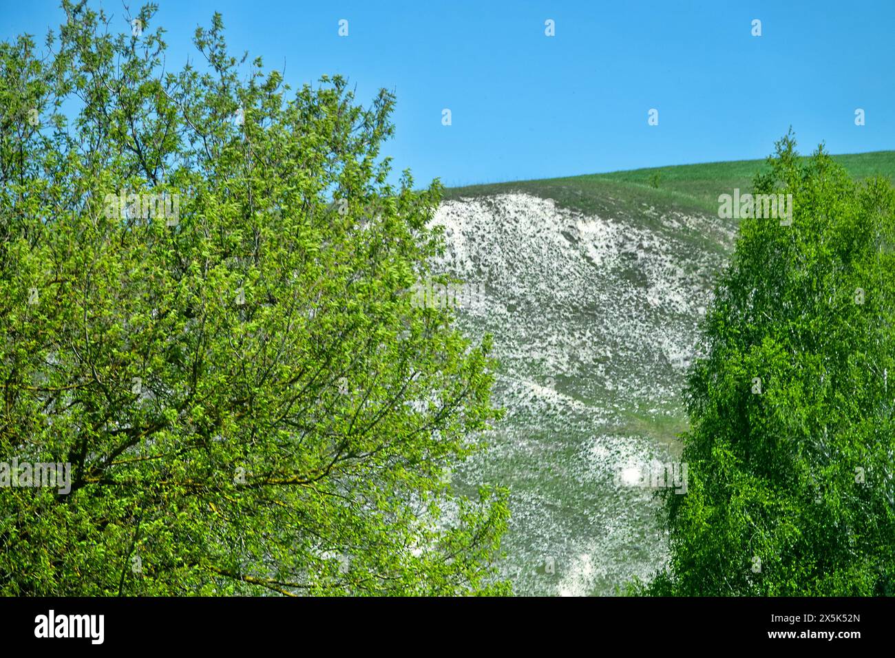 Yar (high bank) with hollow-concave bed in middle reaches of Don River ...