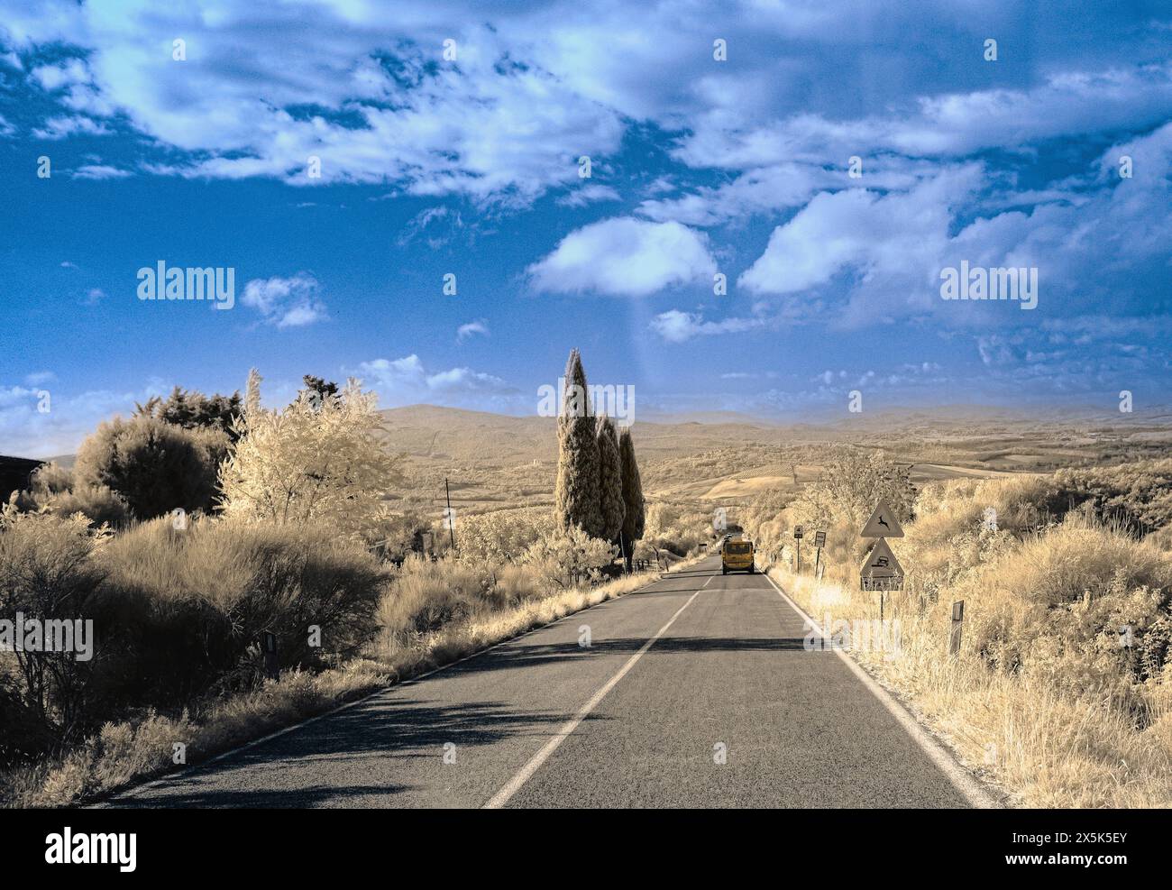 Yellow infrared hi-res stock photography and images - Alamy