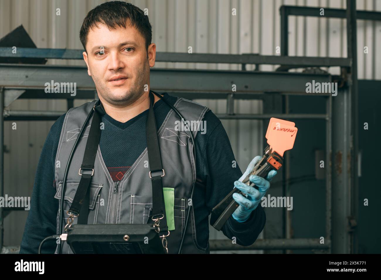 farmer equipped with specialized tagging equipment, ready to attach an ...