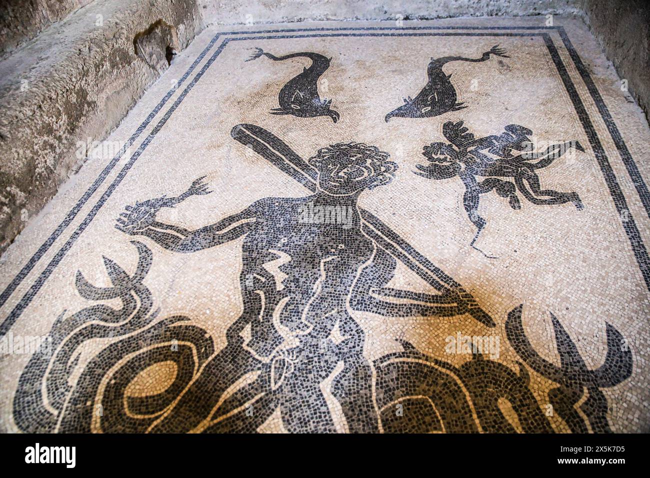 Naples, Italy, Herculaneum ruins octopus man, angels and dolphin mosaic ...