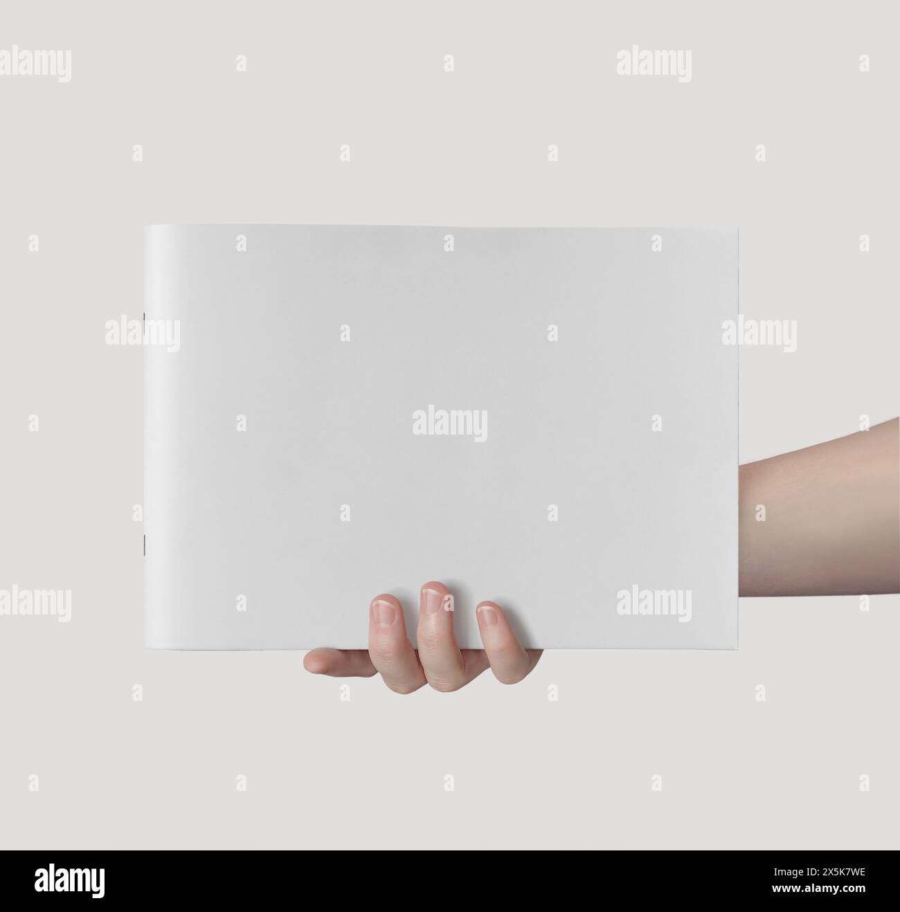 Hand Holding Horizontal A4 Brochure Mockup on a White Background Stock ...