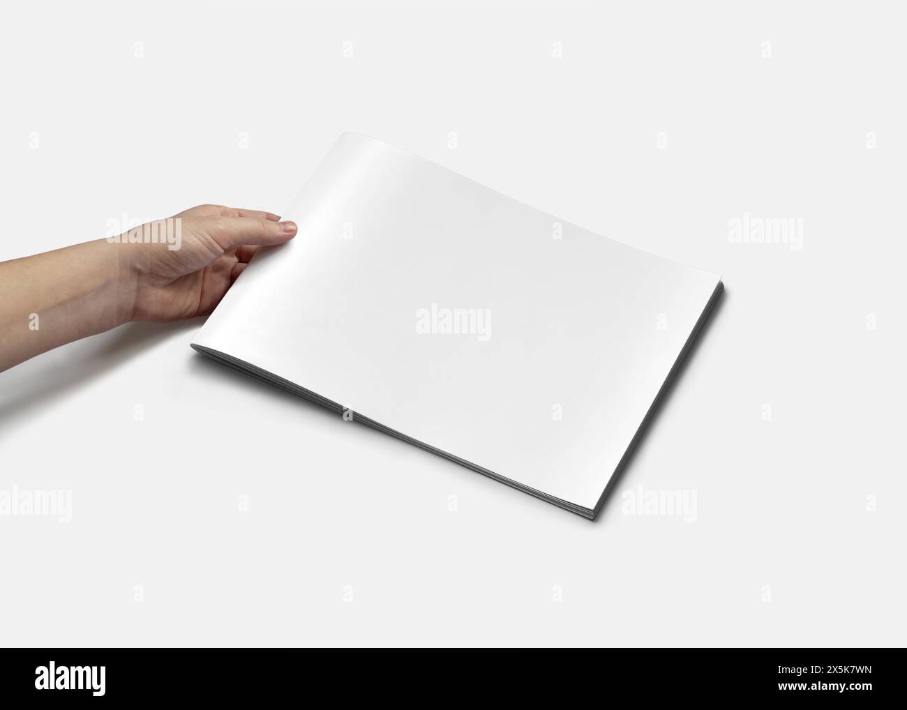 Hand Holding Horizontal A4 Brochure Mockup on a White Background Stock ...