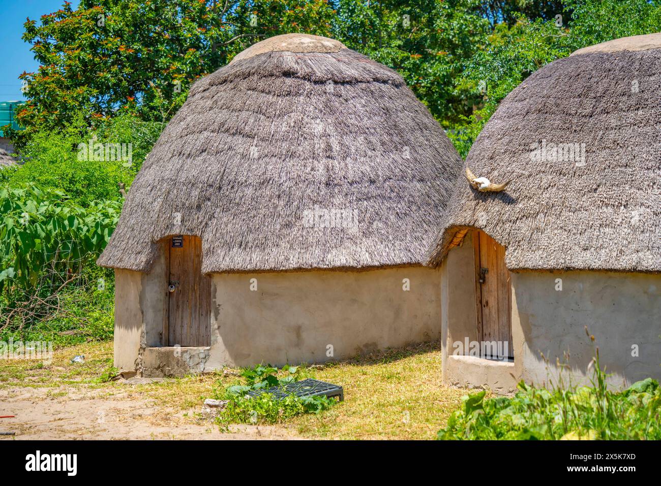 View of thatched roof houses in traditional Zulu village, Veyane ...