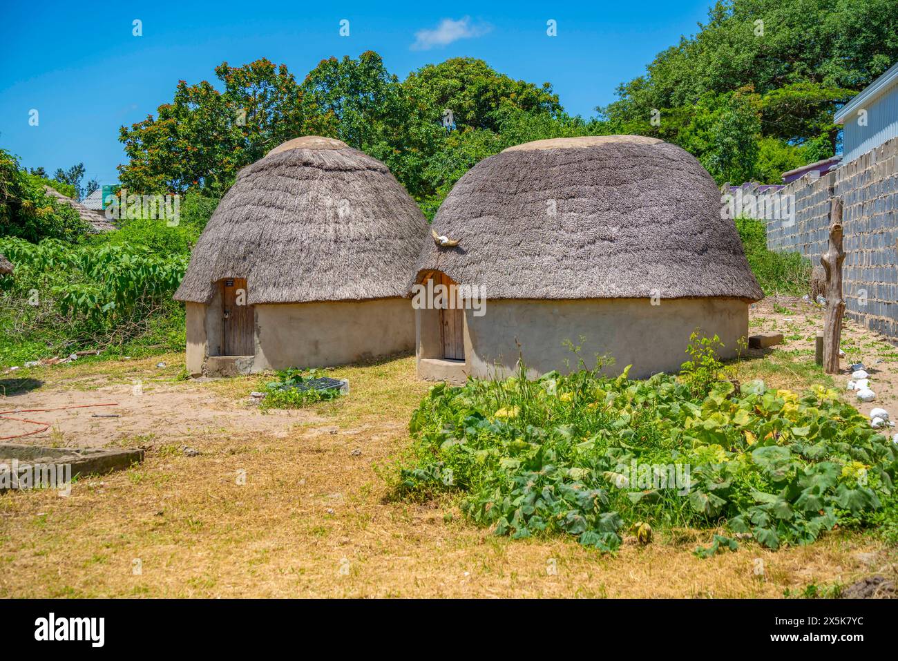 View of thatched roof houses in traditional Zulu village, Veyane ...