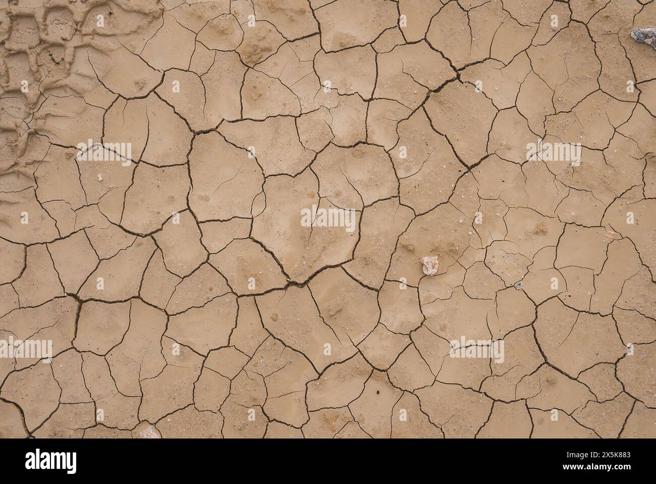 Dry Cracked Desert Ground with Mosaic Like Pattern, Beige Soil Texture ...