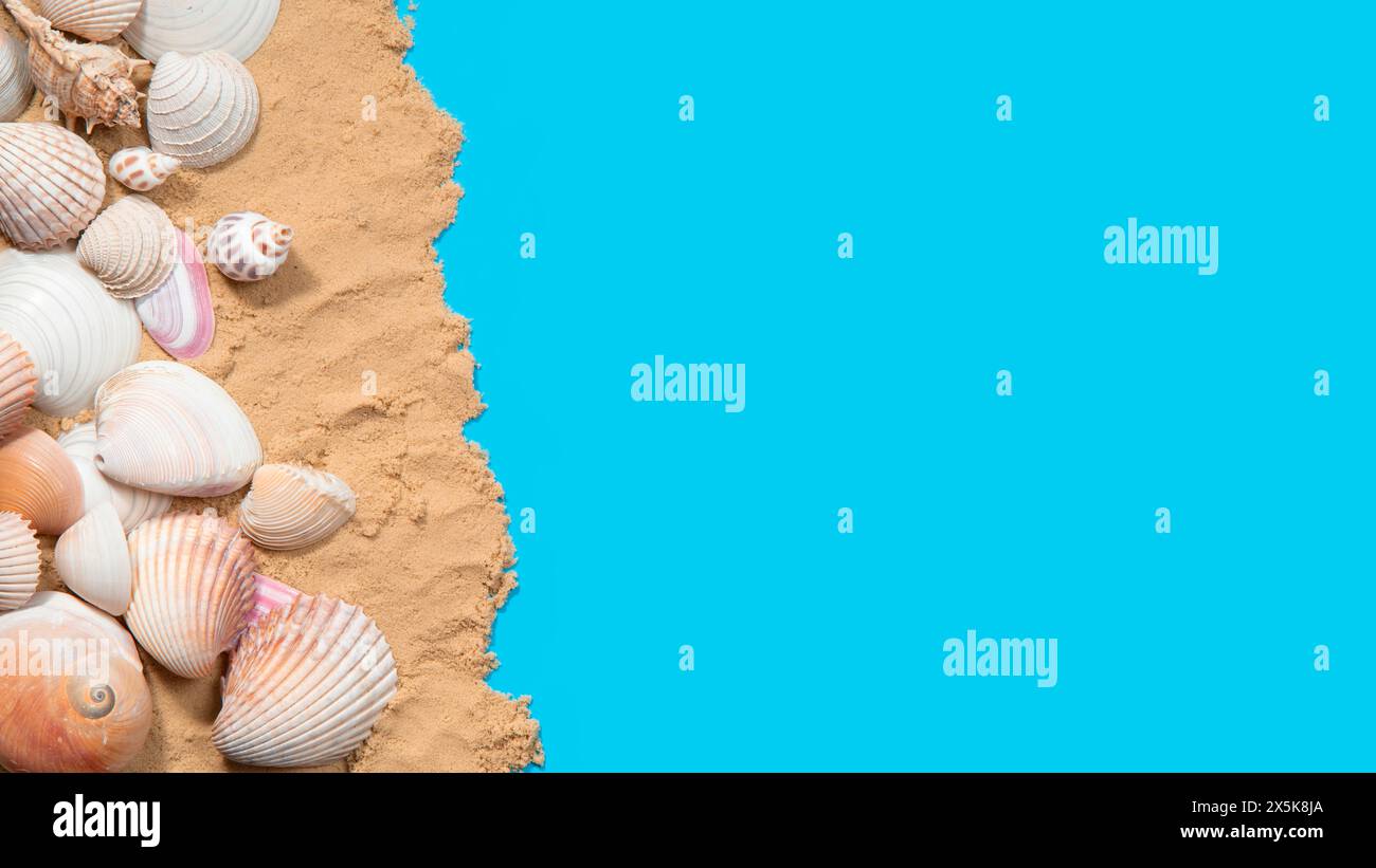 Top view of Sea shells and snails of different sizes and colors on sand ...