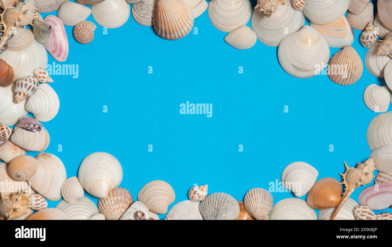 Top view of Sea shells forming a frame on a blue surface Stock Photo ...