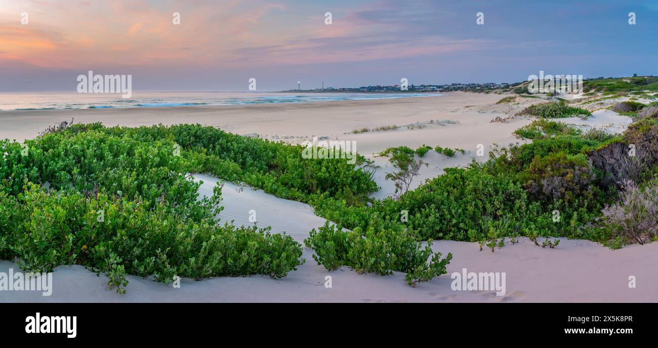 View of beach and Seal Point Lighthouse at sunrise, Cape St. Francis ...
