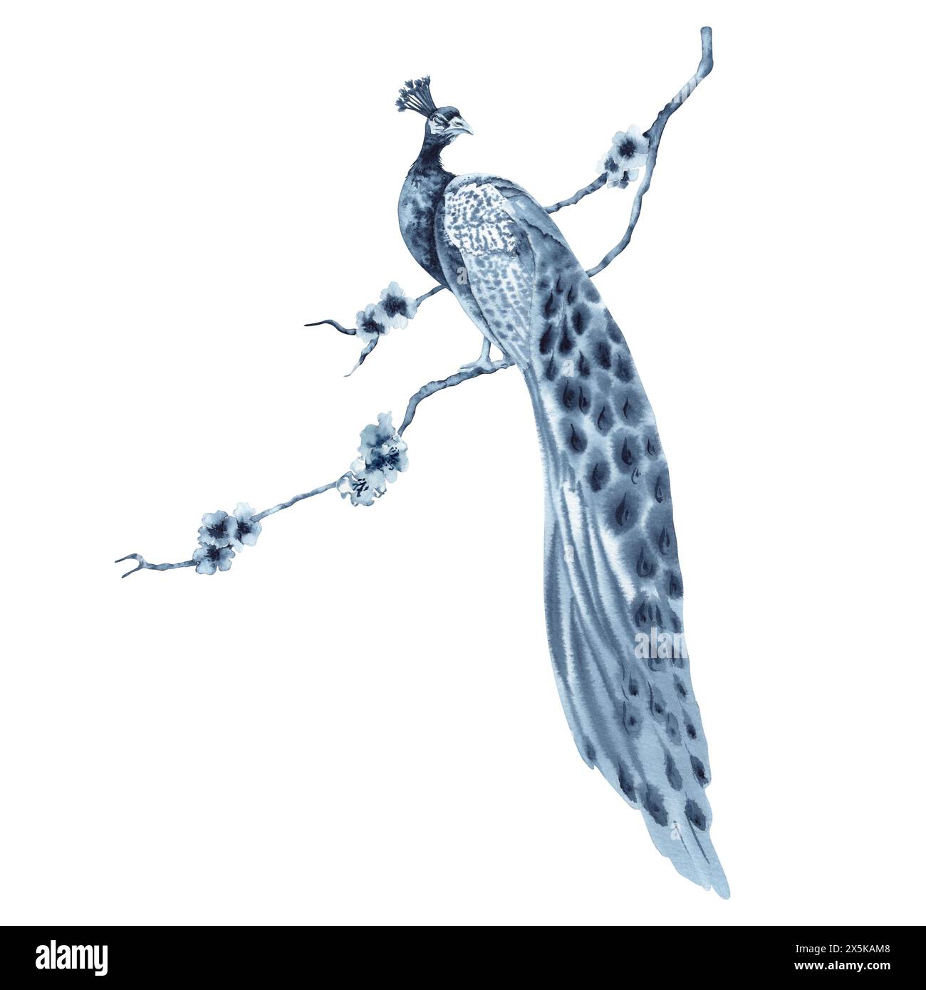 Peacock bird on blossom tree branch painting. Blue indigo monochrome ...