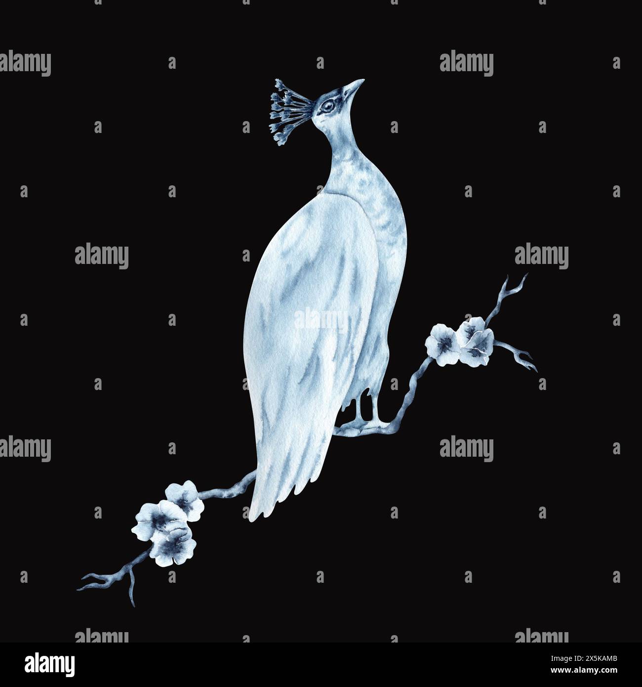 Peafowl bird on a cherry tree branch. Blue indigo monochrome ...