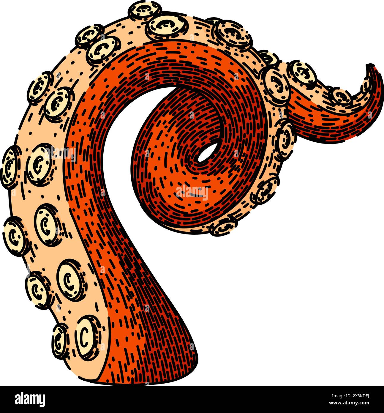 squid octopus kraken tentacle sketch hand drawn vector Stock Vector Image & Art - Alamy