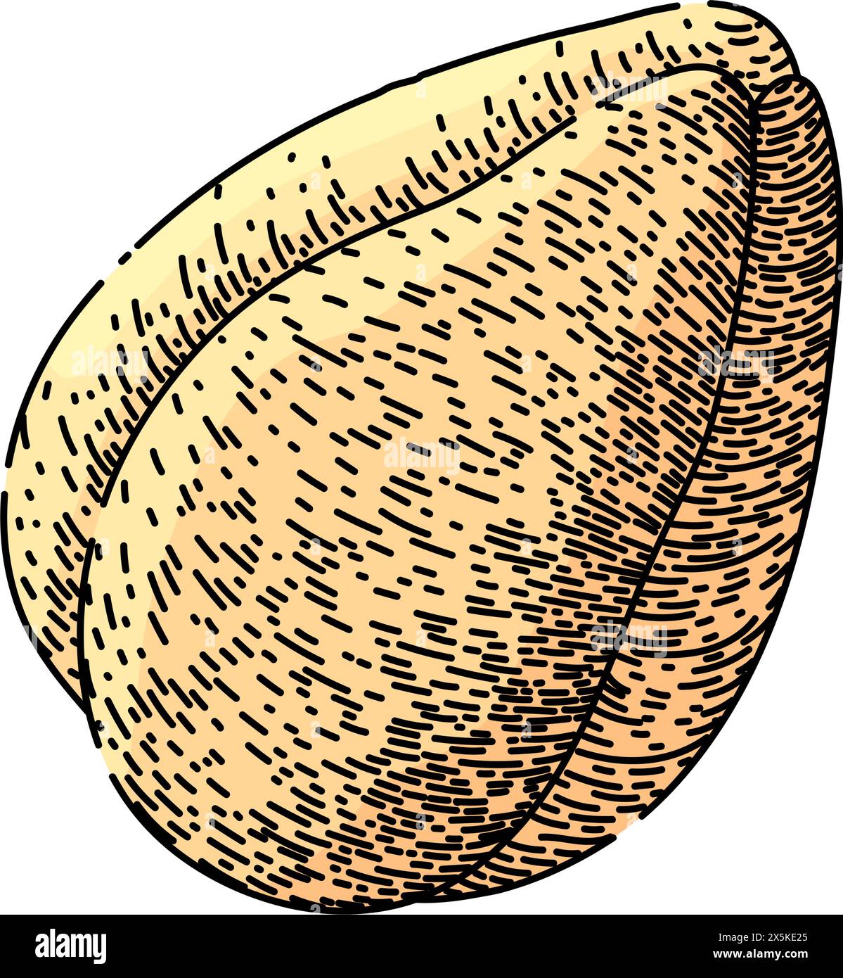 Sala salak Stock Vector Images - Alamy