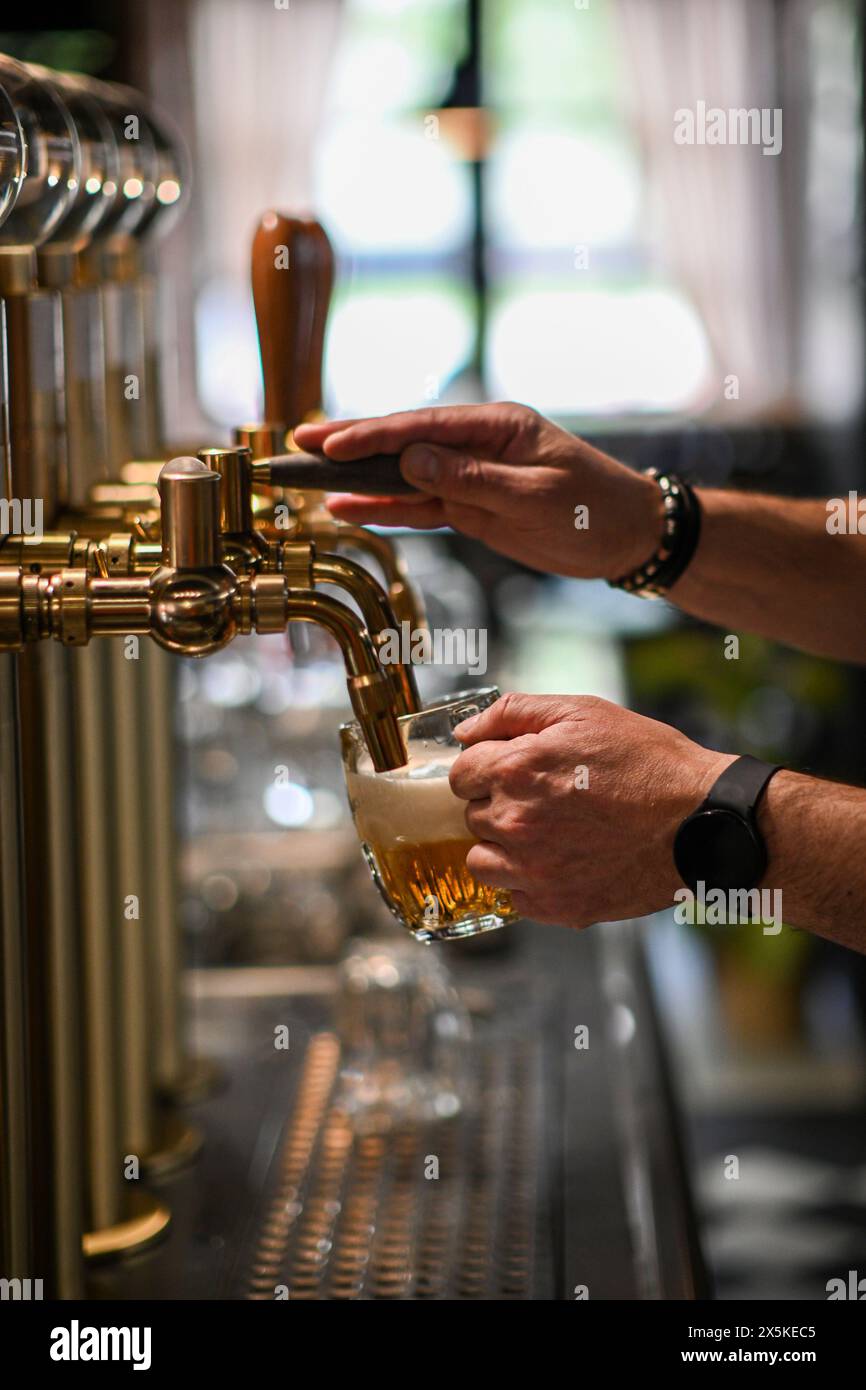 the waiter is capping a beer at the bar Stock Photo - Alamy