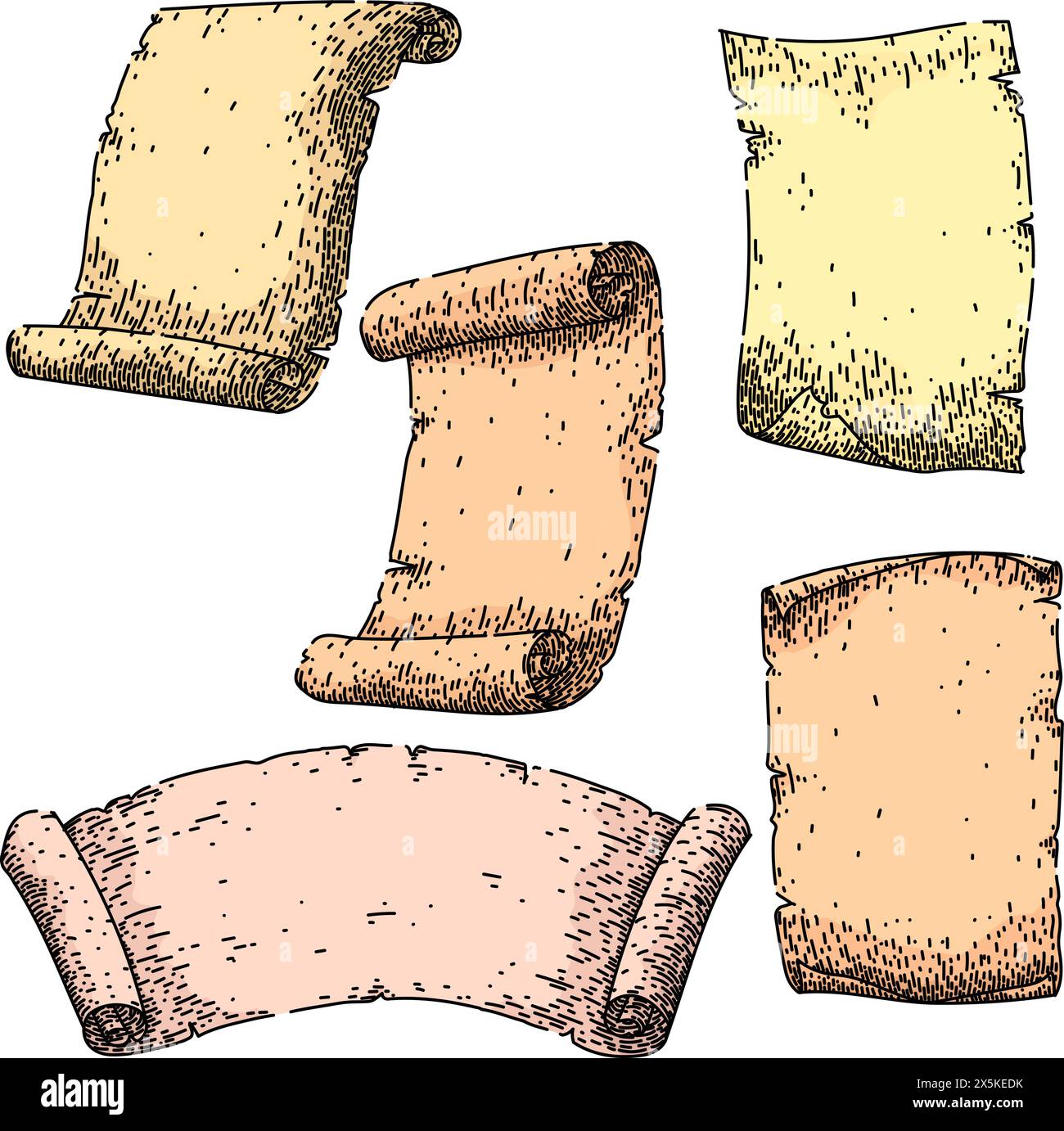 scroll paper set sketch hand drawn vector Stock Vector Image & Art - Alamy