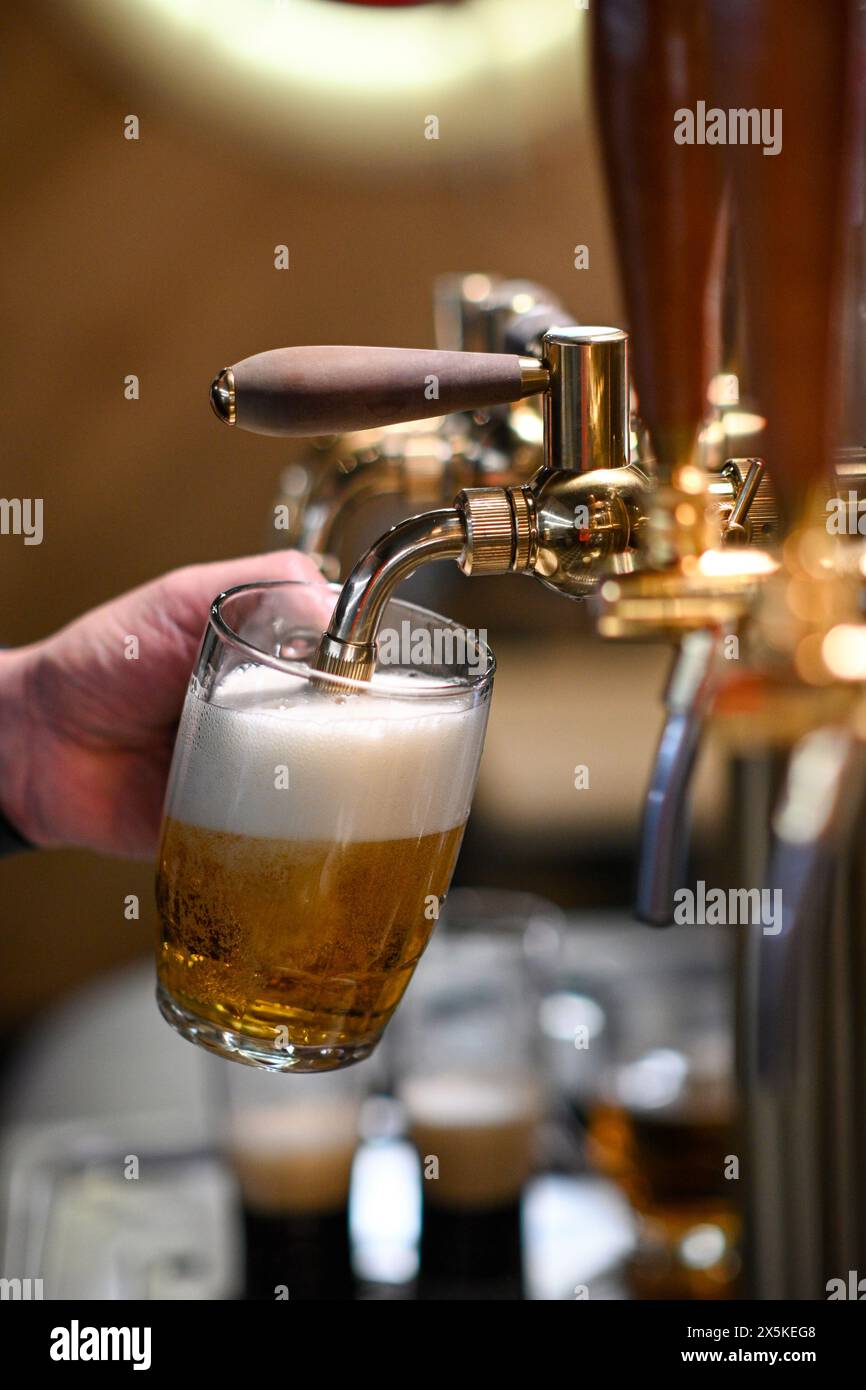 the waiter is capping a beer at the bar Stock Photo - Alamy
