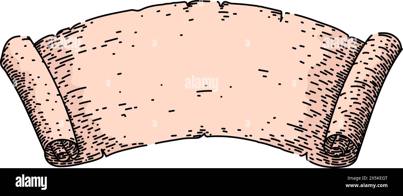 parchment scroll paper sketch hand drawn vector Stock Vector Image ...