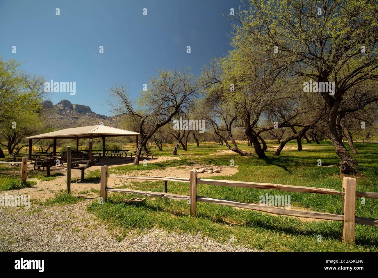 The wide open space of the glorious Catalina State Park, Oro Valley ...