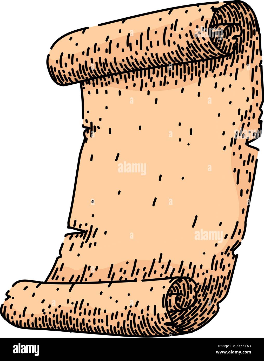 vintage scroll paper sketch hand drawn vector Stock Vector Image & Art ...