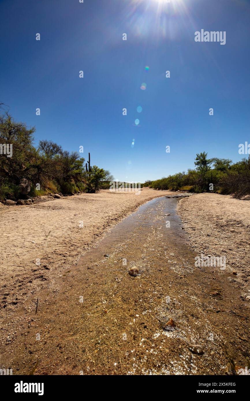 The wide open space of the glorious Catalina State Park, Oro Valley ...
