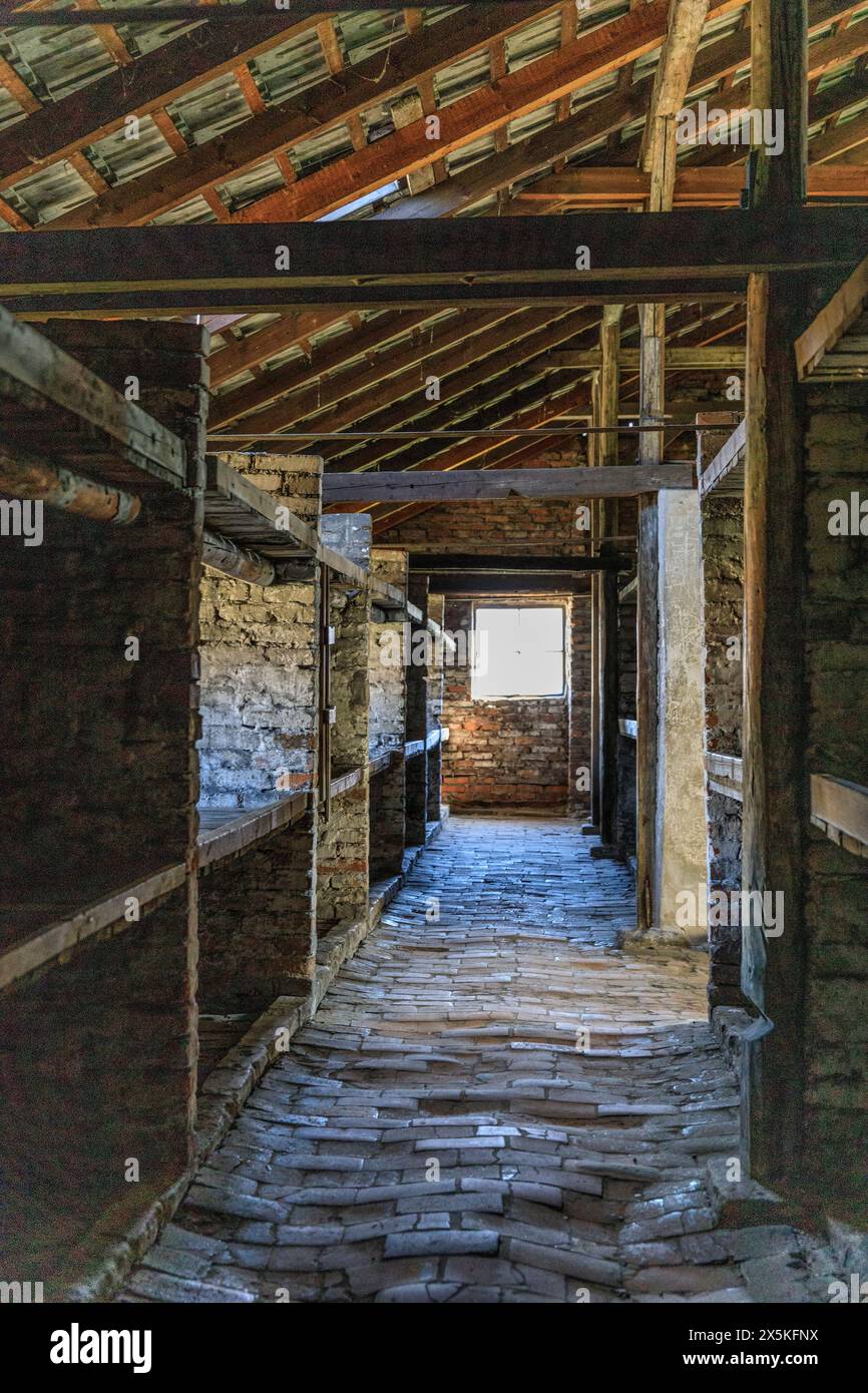 Poland, Oswiecim, Auschwitz-Birkenau. WWll barracks, wood bunks ...