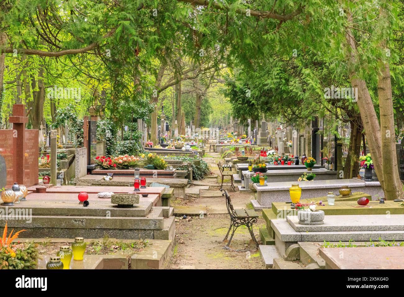 Poland, Warsaw, Wola. Powazki Cemetery, historic over 1 million buried ...