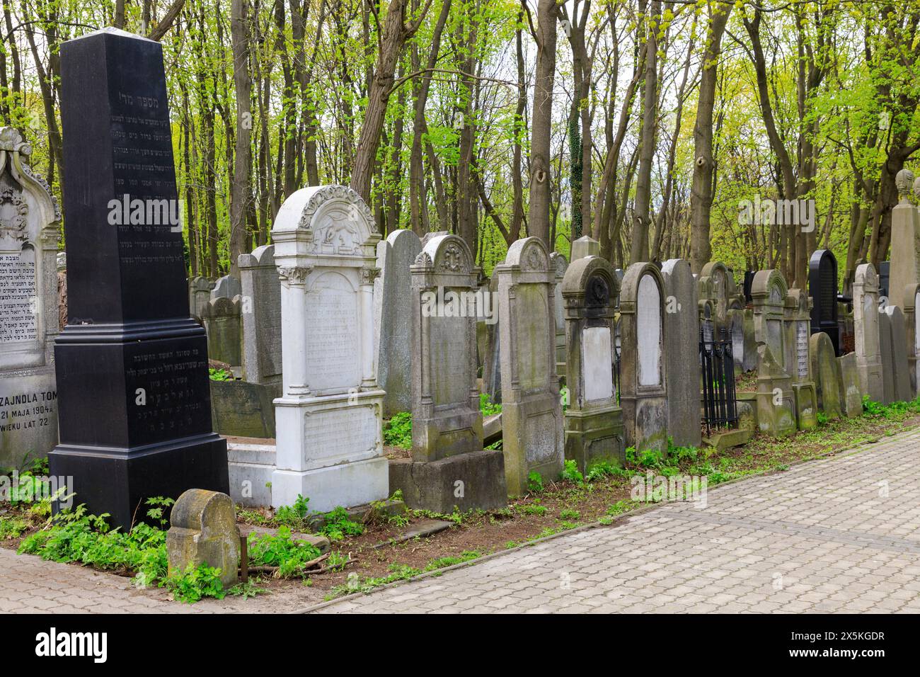 Jewish Cemetery on Okopowa Street. Largest Jewish cemetery in the world ...