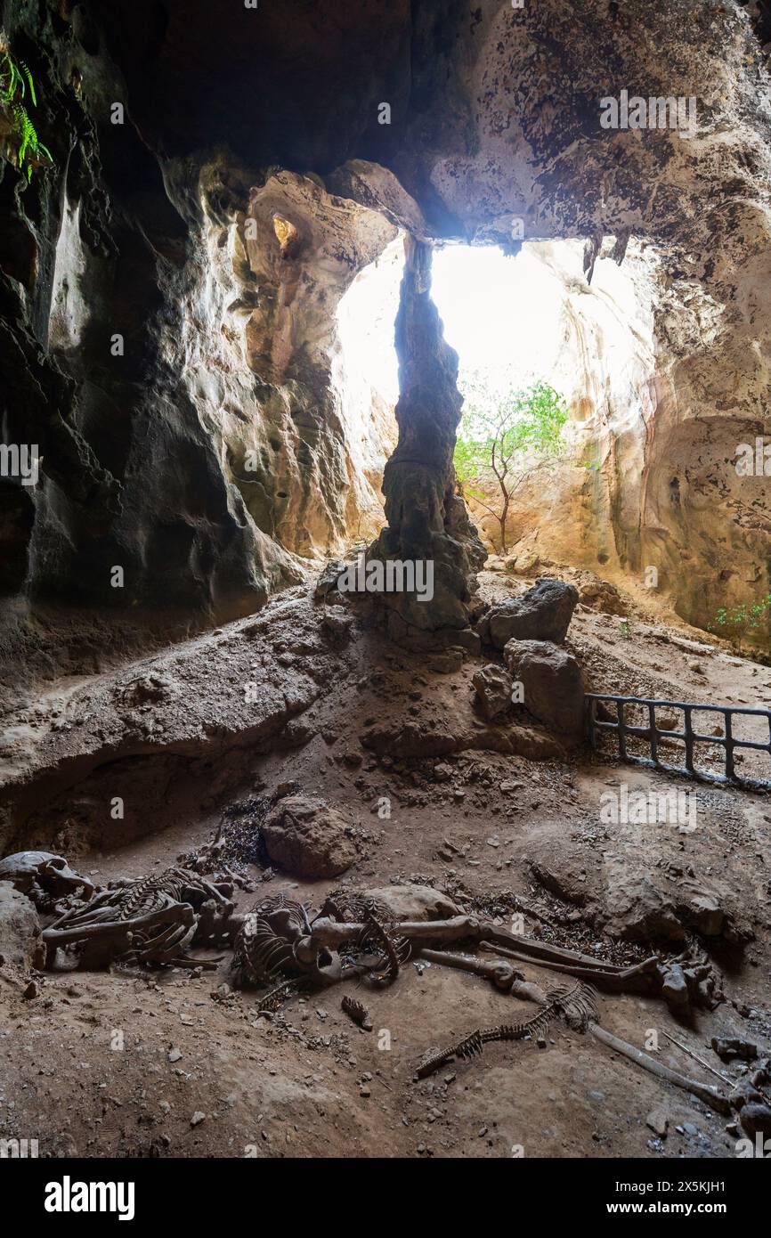 Inside the tall & scenic Khao Khanampnam (Khanap/Khanab Nam) Cave with ...