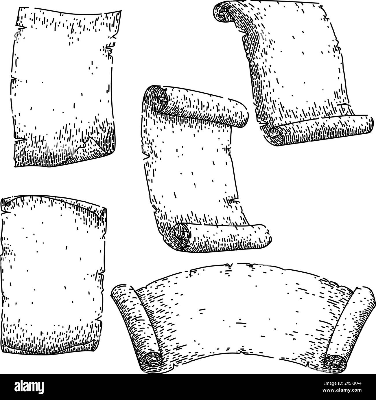 scroll paper set sketch hand drawn vector Stock Vector Image & Art - Alamy