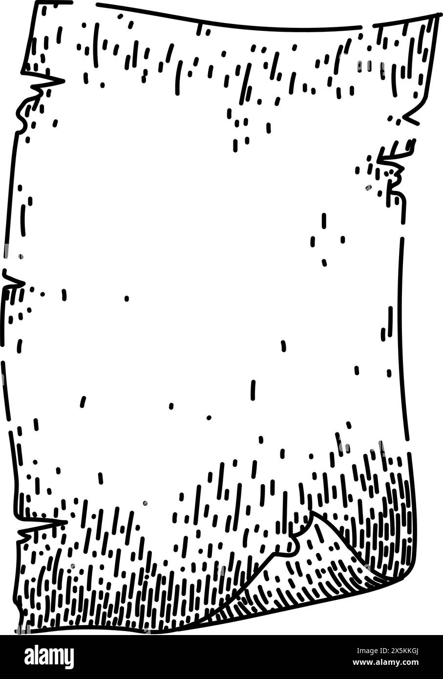 old scroll paper sketch hand drawn vector Stock Vector Image & Art - Alamy