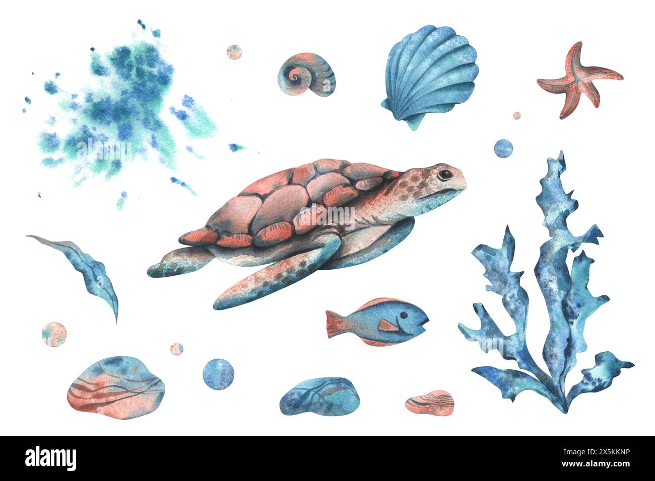 Turtle, shells, starfish, fish, bubbles, pebbles and other sea animals ...
