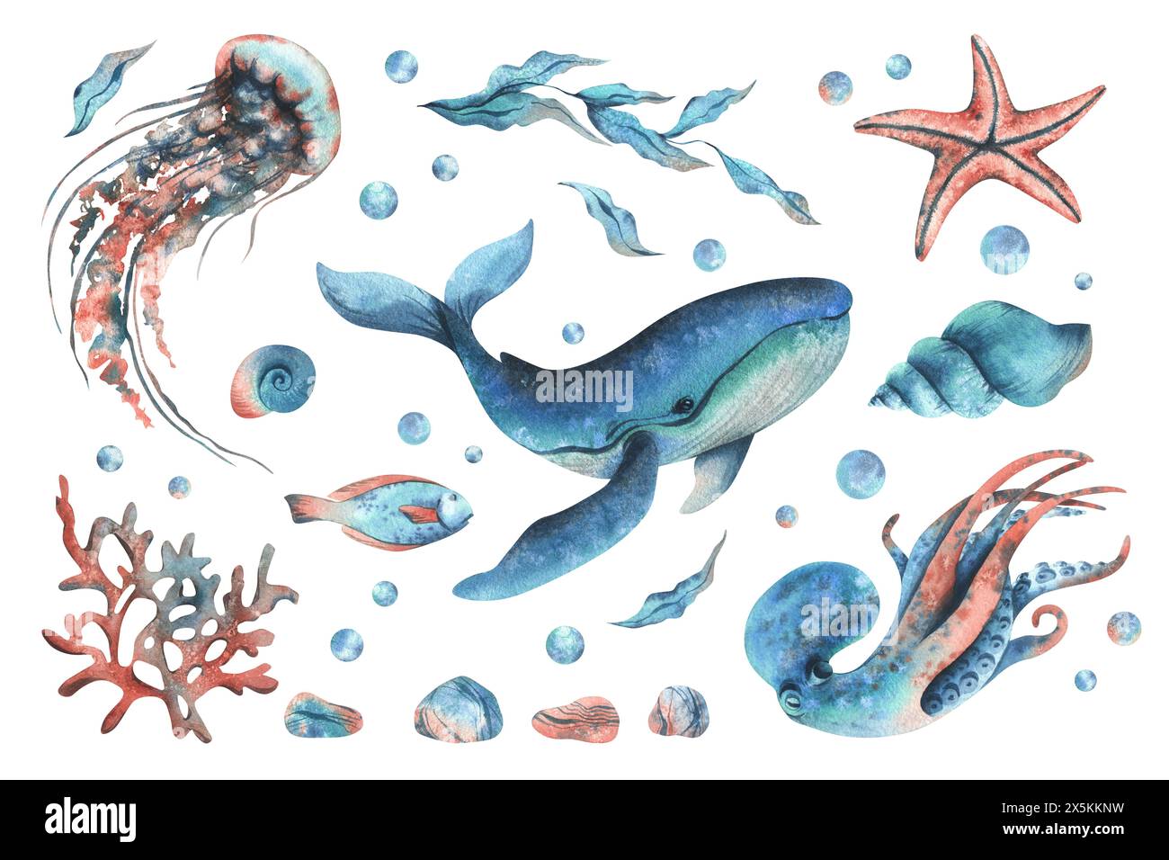Octopus, whale, jellyfish, turtle, shells, starfish, fish, bubbles ...
